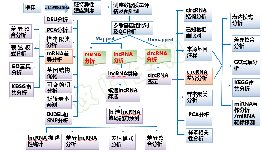 所有产品 组学研究 转录组测序 全转录组测序攸归生物 攸归(上海)生物科技有限公司,基因芯片生物芯片基因测序高通量测序酵母文库生物信息学转录组基因组蛋白质组